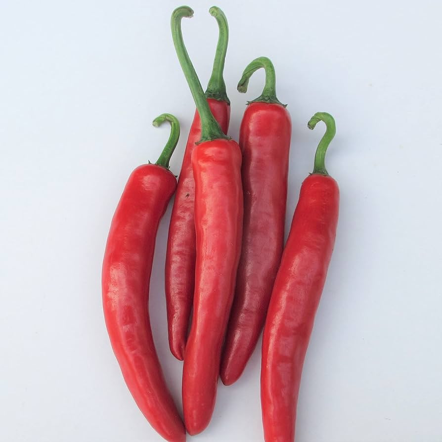 SANEST NUOC YEN CAN LIGHT